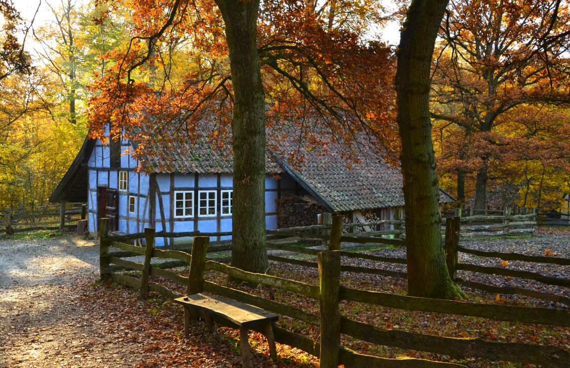 ~Herfstlicht~ | digifoto Starter